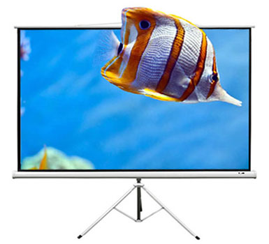 Apollo Tripod Screen 70 inch best Matt White.............