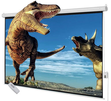 Apollo Motorized Screen 120 inch best Matt.............